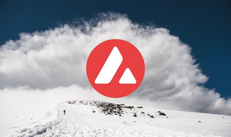 O que é AVAX? - Mago do Mercado